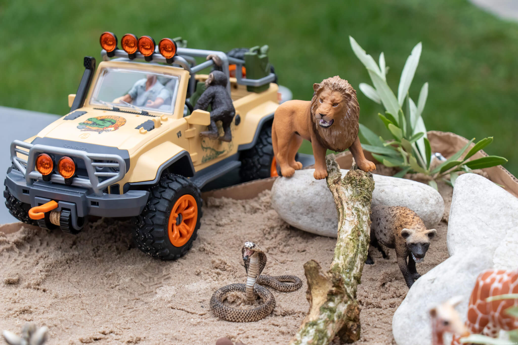 Bac sensoriel sur le thème de la savane avec Schleich - Le blog de ...